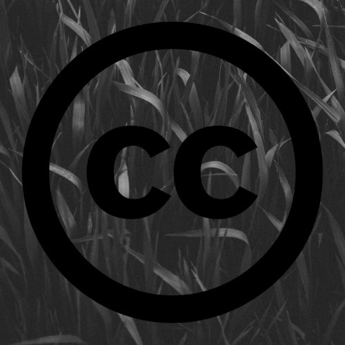 Creative Commons – Nest of Varna